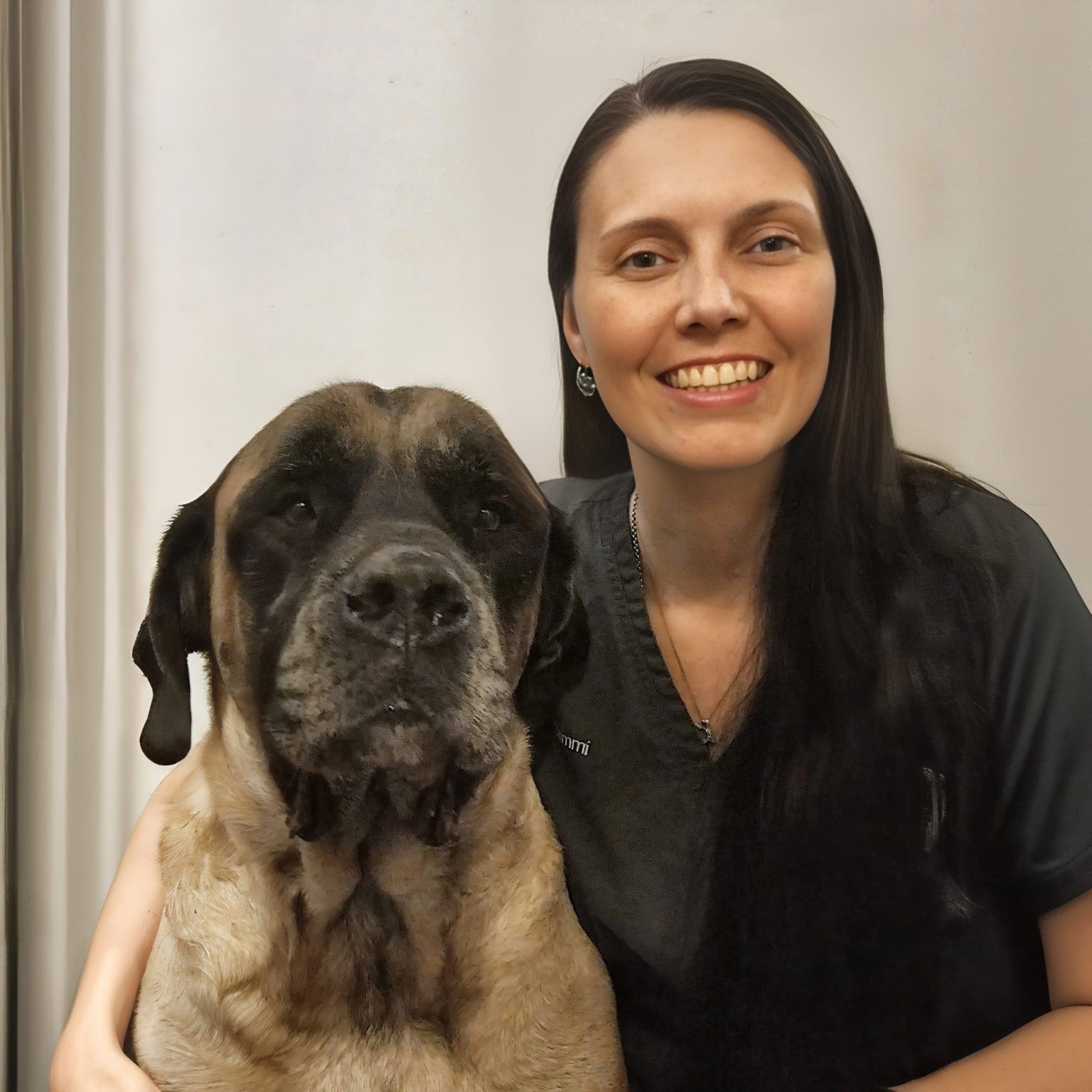 About Us - Jacksonville Veterinary Surgery & Orthopedics