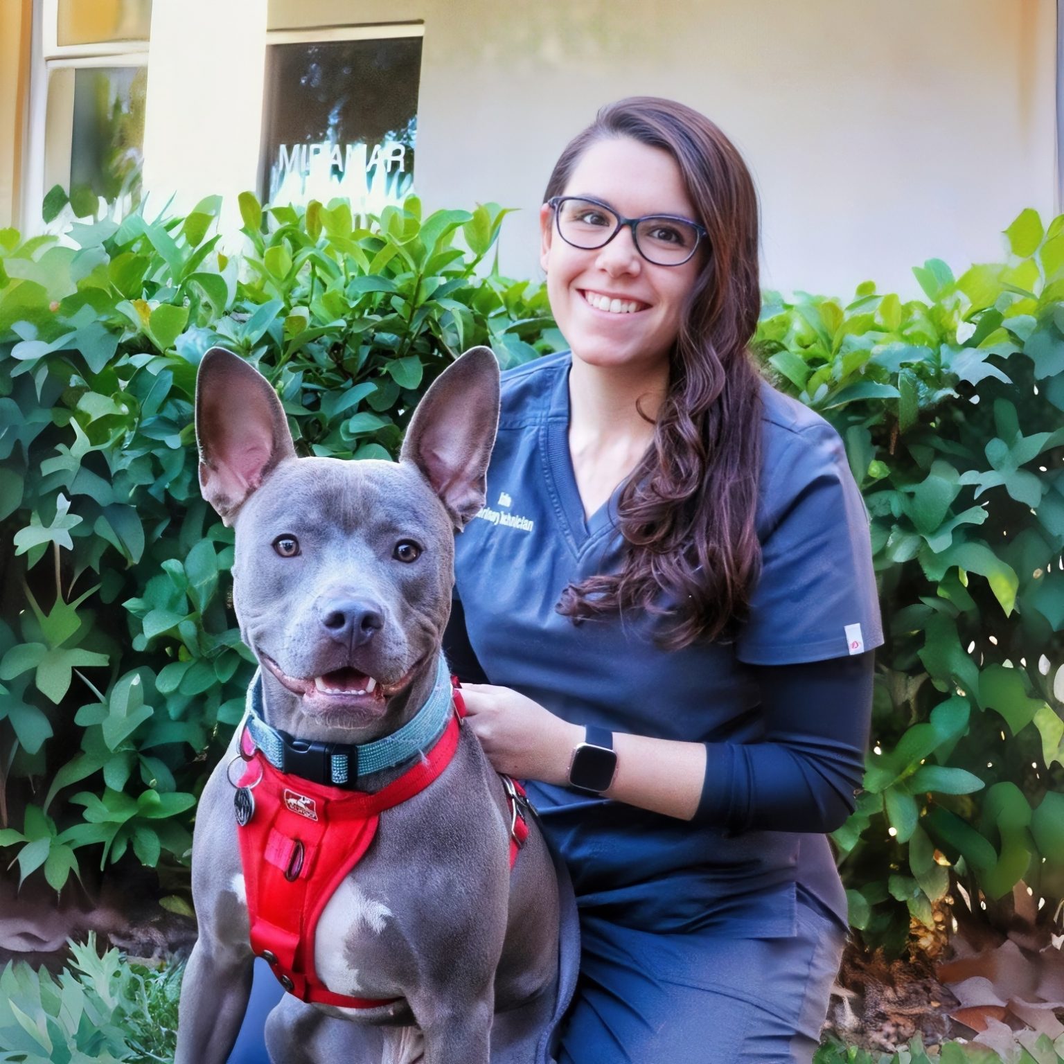 About Us - Jacksonville Veterinary Surgery & Orthopedics