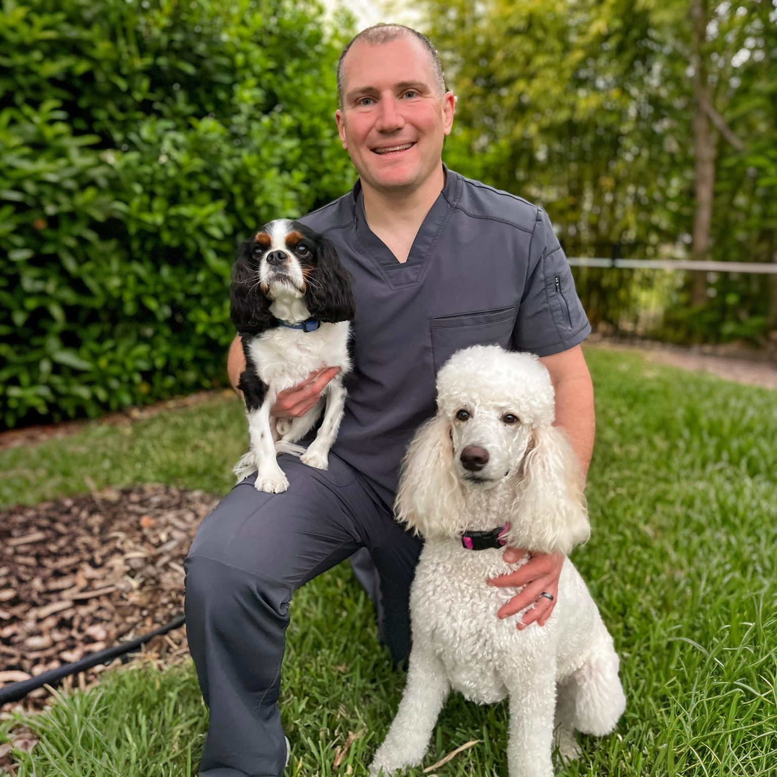 About Us - Jacksonville Veterinary Surgery & Orthopedics
